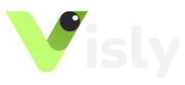 Visly | Elevate Your Professional Graphics